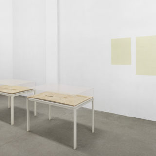Isabelle Cornaro — Fondazione Giuliani